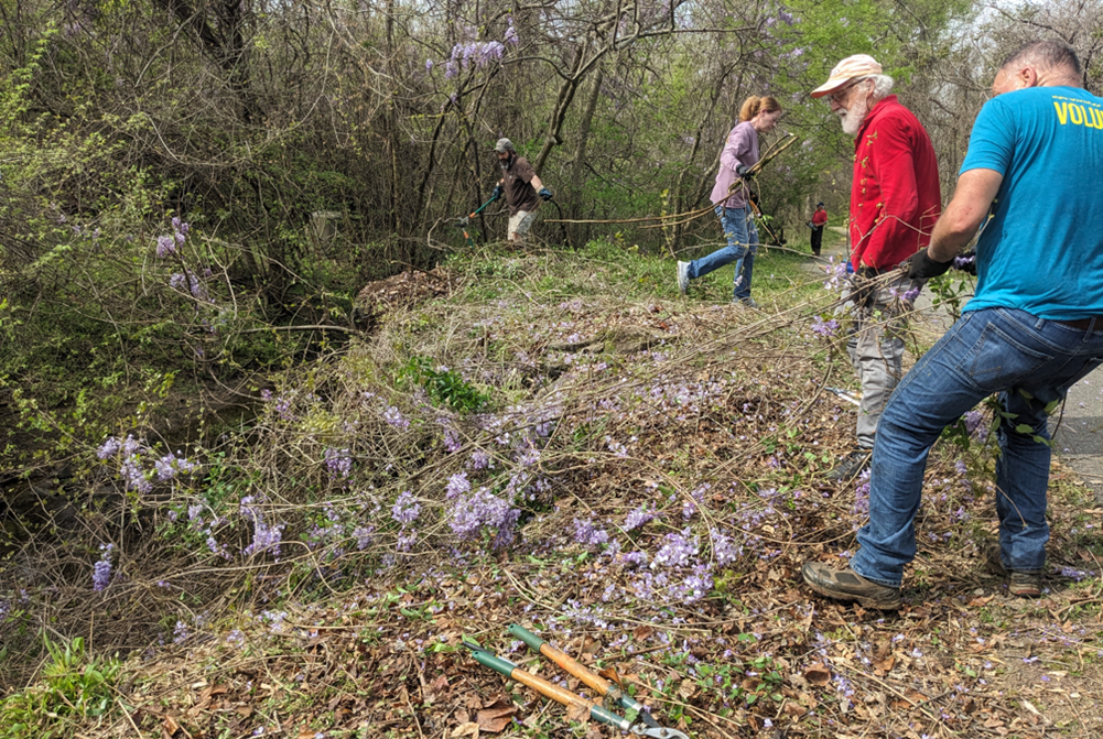 River revitalization on track with help from Norfolk Southern grant ...